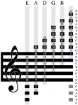 Learn How To Read Standard Notation With This Chart - TrueFire Blog ...